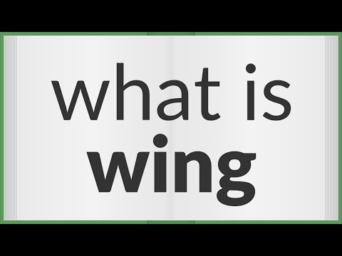Wing | meaning of Wing