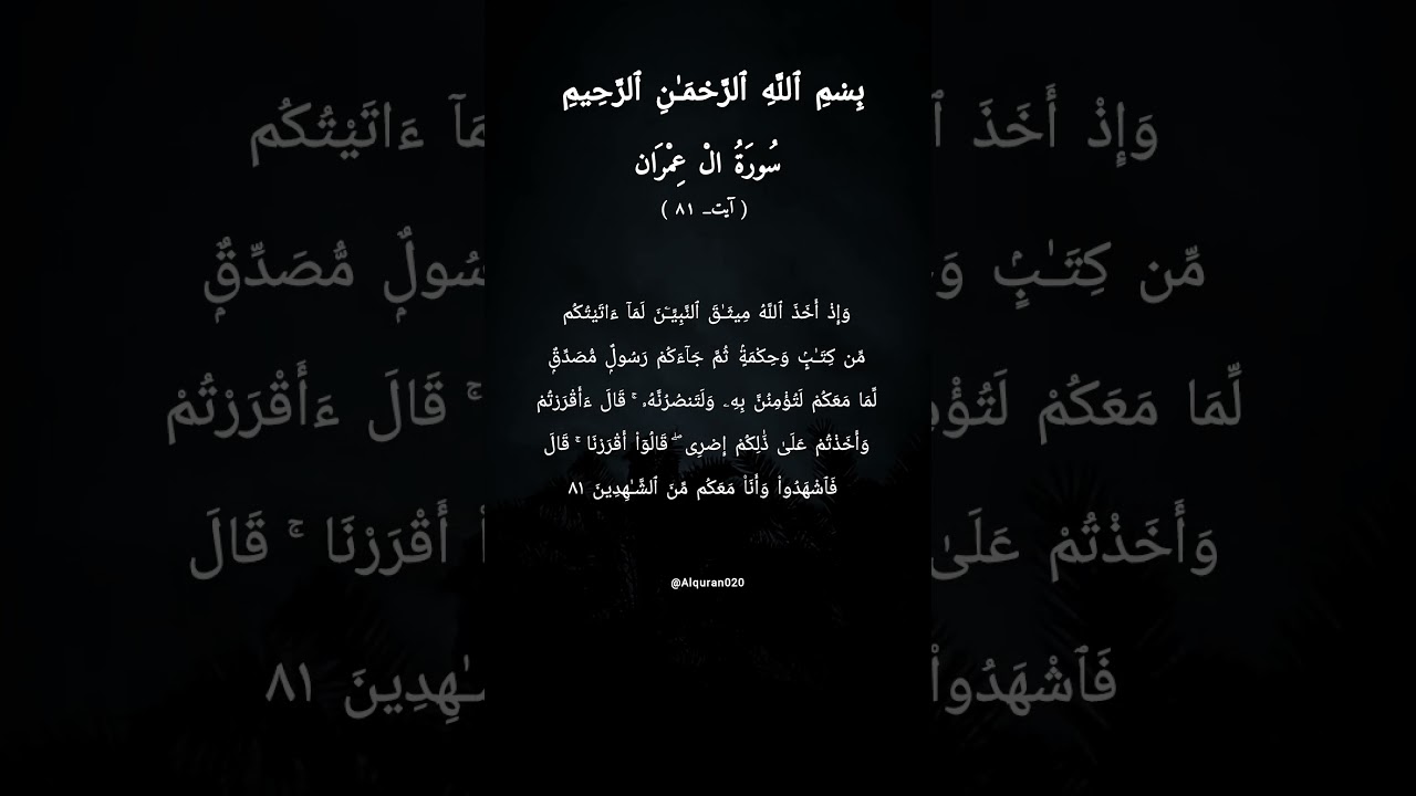 Surah Al Imran ayat 81 quran tilawat explore qurantilawat quran islam fyp
