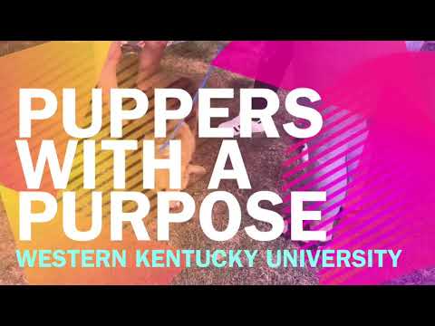 Puppers With a Purpose|School Project