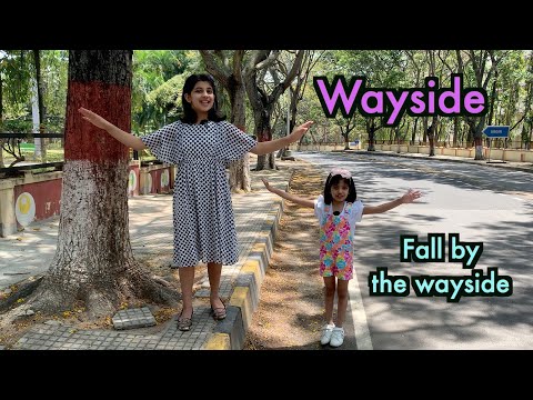 Wayside | Fall by the wayside | Havisha Rathore