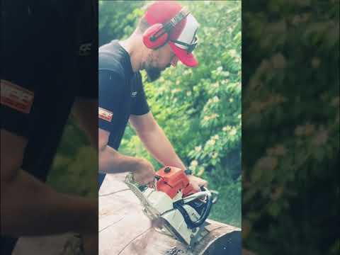 Stihl 044 Chainsaw Mayhem