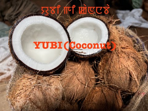 YUBI (Coconut): Nutritional & Medicinal Properties (Manipuri): ꯌꯨꯕꯤ ꯒꯤ ꯀꯥꯟꯅꯕꯥ