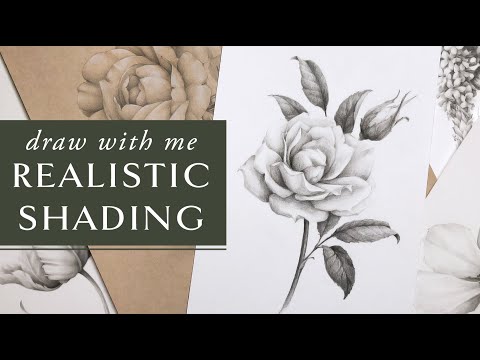 Realistic Pencil Shading - Botanical Flower Drawing and Shading