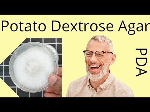 Preparation of Potato Dextrose Agar PDA using Fresh Potatoes