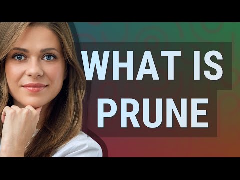 Prune | meaning of Prune