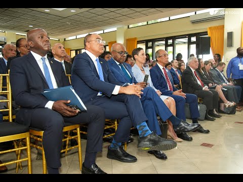 Jamaica renegotiating Cuban medical mission MOU, Tufton says in update