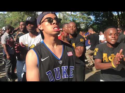 Beta Nu strolling to Hypnotize ( FAMU Alphas) 2018