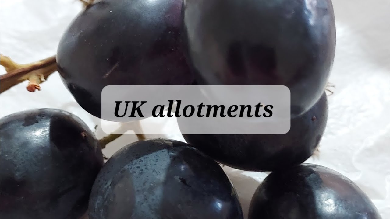 pathways at the ready