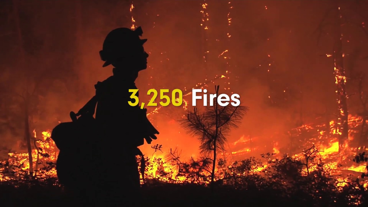 FireSmartBC: The Disciplines Overview