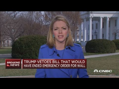 President Trump signs first veto, blocks bill that would have ended emergency declaration