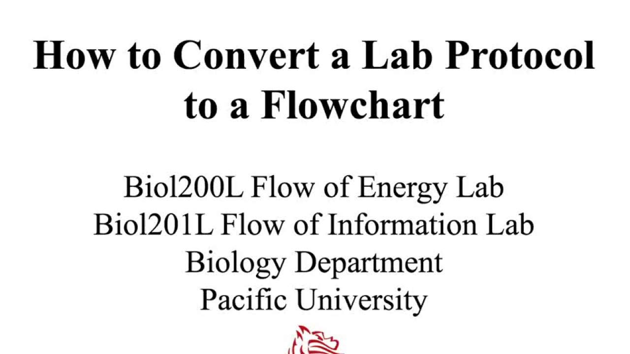 How to Convert a Lab Protocol to a Flowchart