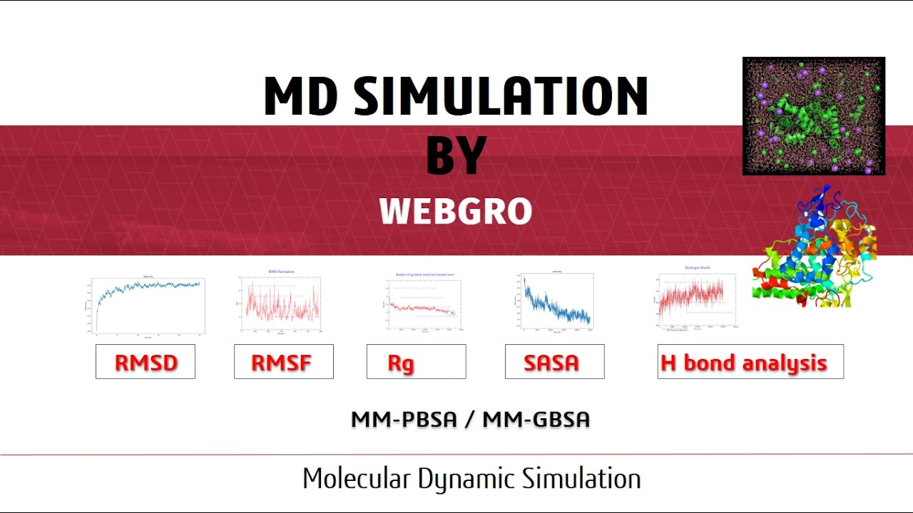 MD Simulation Using WEBGRO | RMSD, RMSF, Rg, SASA & MM-PBSA Analysis | Full Tutorial