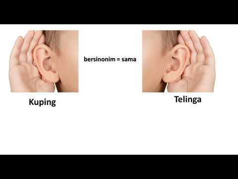 MAKNA KATA DAN MAKNA ISTILAH (APA BEDANYA?)