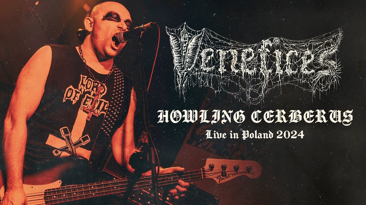 Newsflesh #6 (162) | Chaos Vault