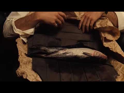 ThatClip from The Godfather - Sleeps with the Fishes