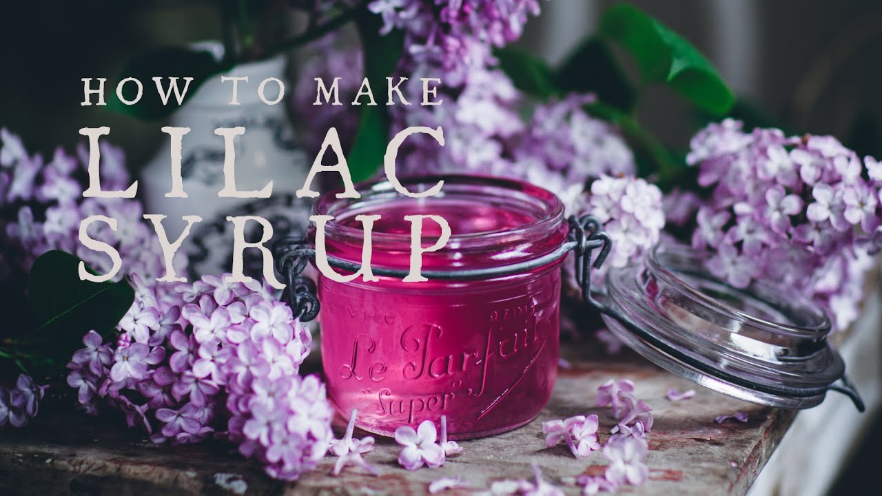 Lilac syrup is not only fragrant but also medicinal. What are benefits?