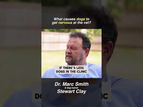 What Impacts Dog Aggression at the Vet? By Marc Smith, DVM, MS