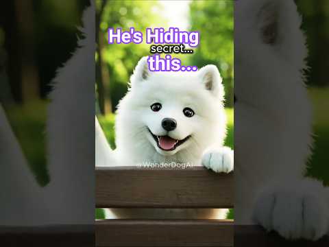 Guess What Gift Cute Dog Brought #cute #dogs #funny #shorts