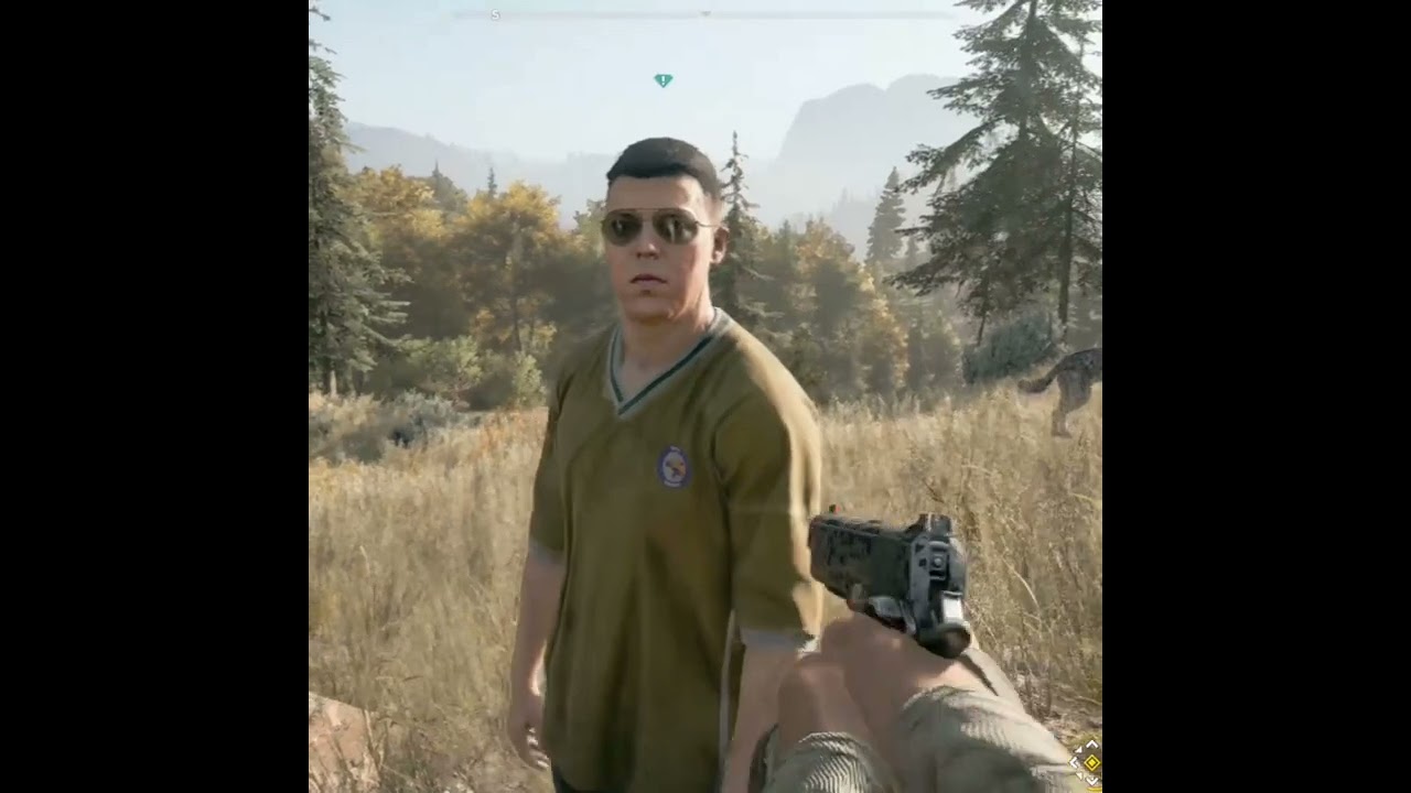 Far Cry 5 co-op in a nutshell:
