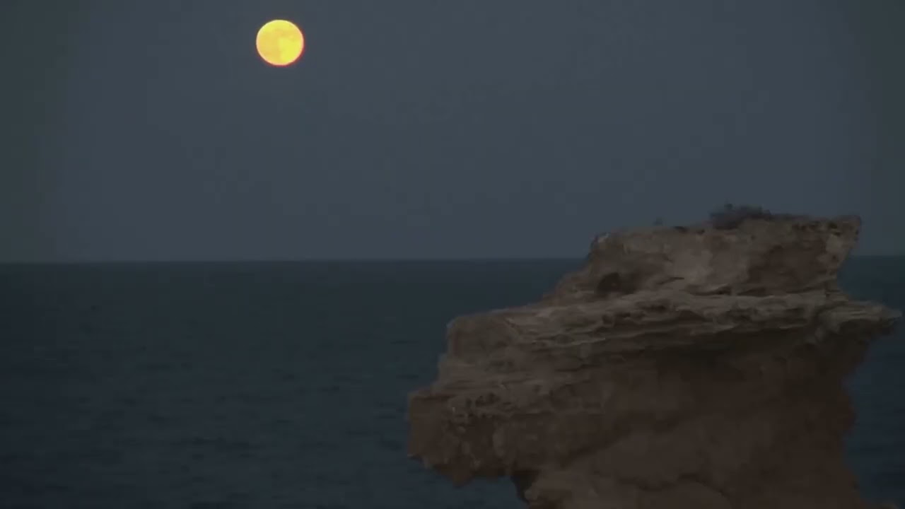 How the Sun, Earth, and Moon Dance to Create Tides!