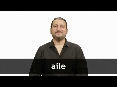 English Translation of “AILE” | Collins French-English Dictionary