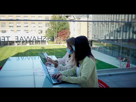 Bachelor of Computer Science - Solving Real World Problems