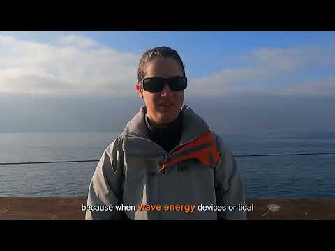 The Triton Initiative tests technologies to study changes in habitat around a wave energy converter