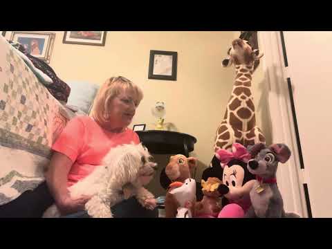 Gumbo, Disney friends and Bully Talk