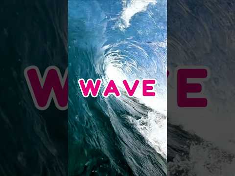 Learn About Waves! | Sparkle's Word Wonders | Today's Word is Wave