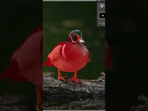 Quick Tip: Lightroom Classic Mask with AI Intersect