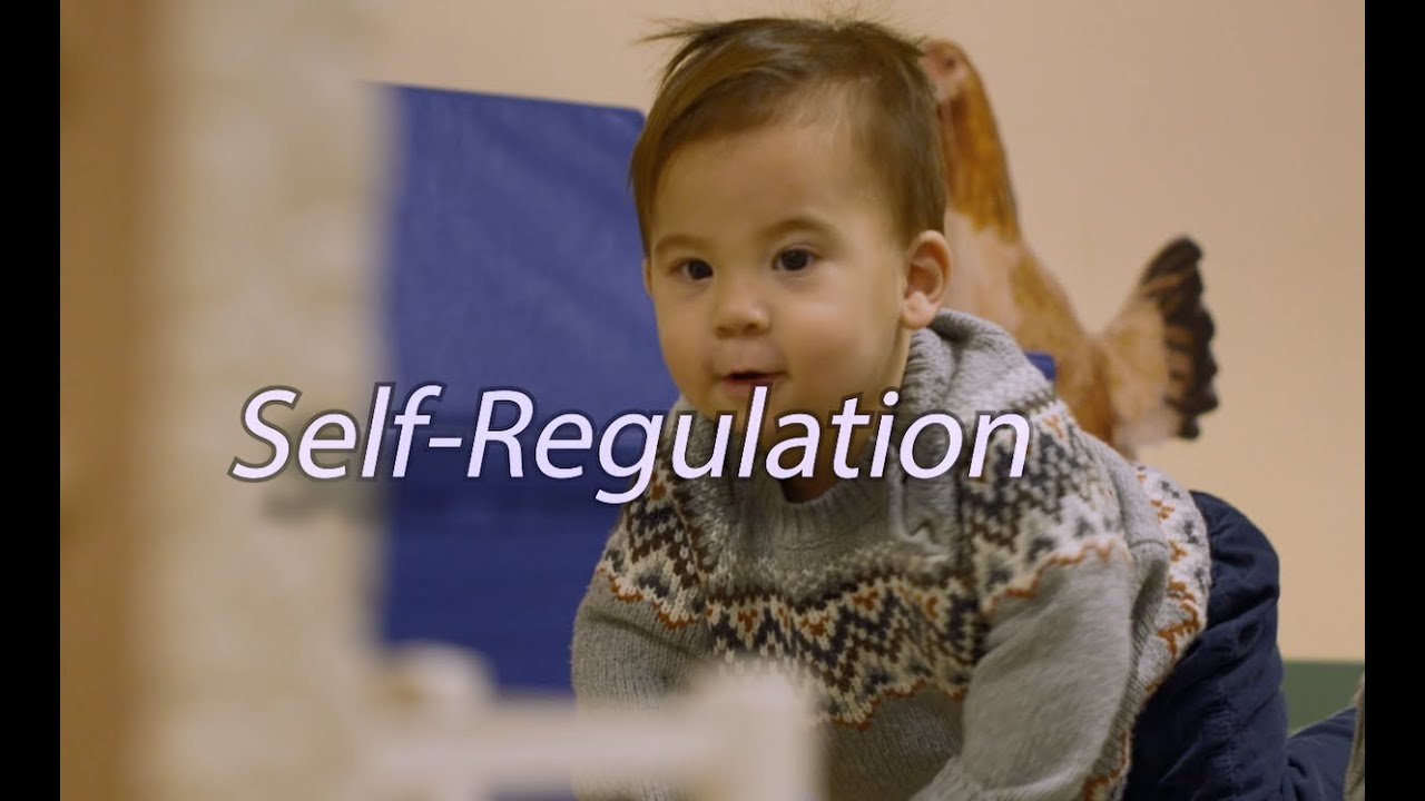 Teaching Young Children Social-Emotional Skills: Self-Regulation