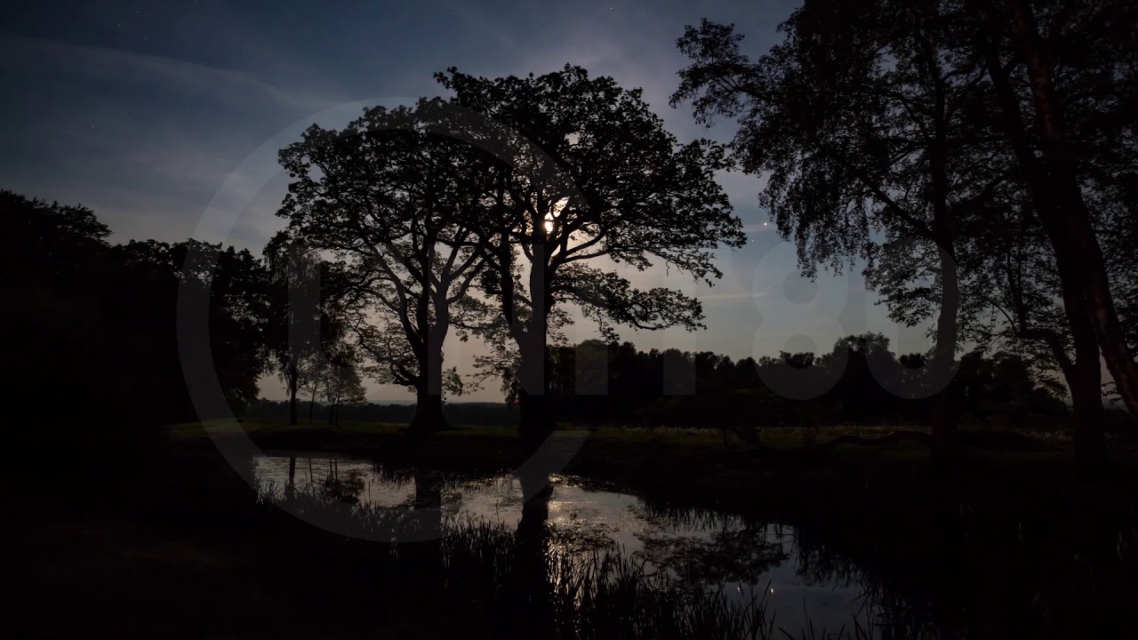 0016 Time lapse of moon over the lake, passing behind the trees