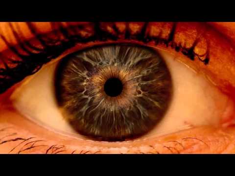 "What causes glaucoma?" By Richard P. Holm, MD