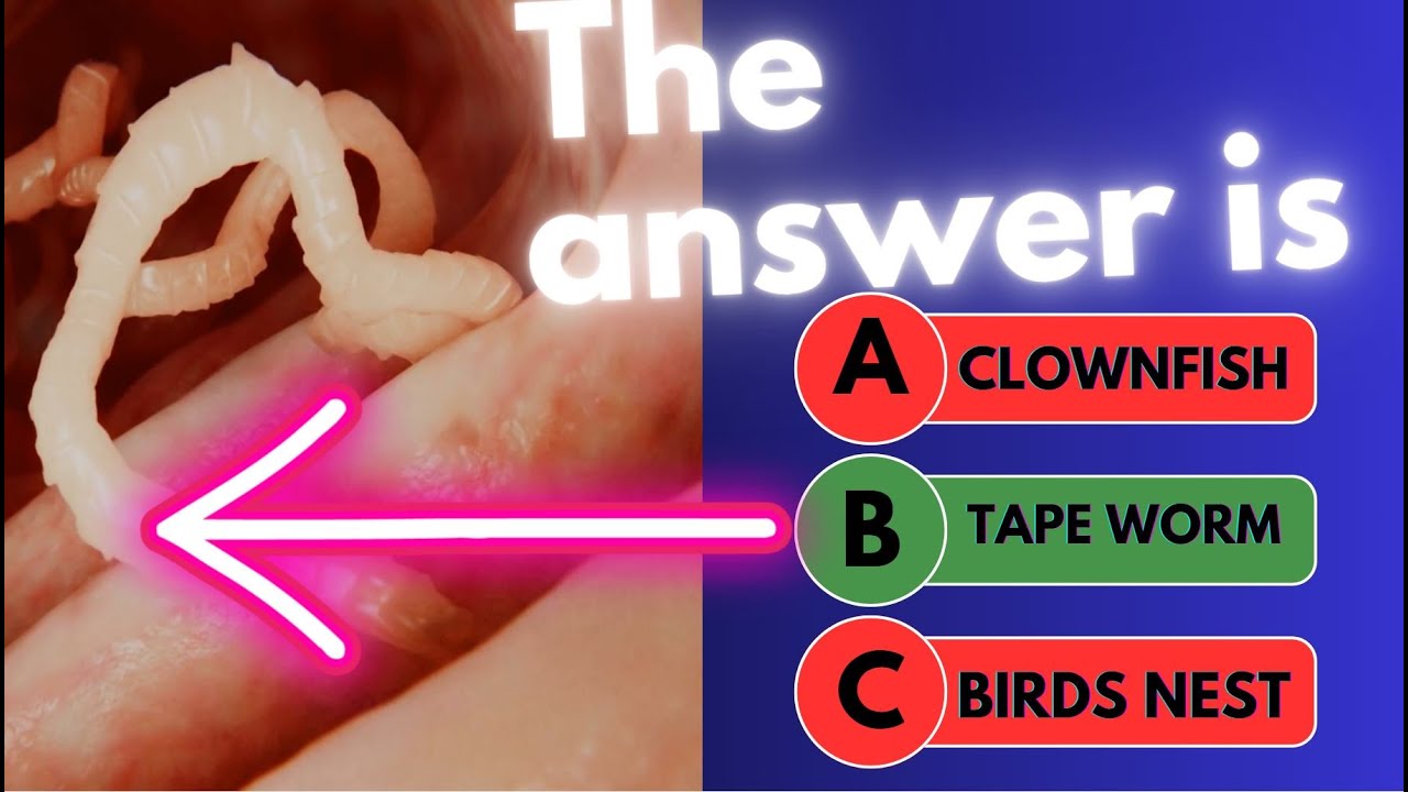 BIOLOGY Quiz: SYMBIOSIS Mutualism, Commensalism, & Parasitism High School Grade 9 10 11 12