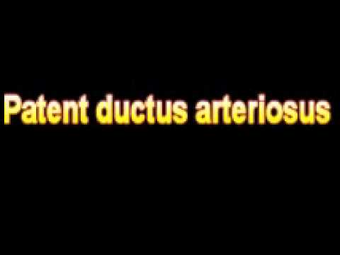 What Is The Definition Of Patent ductus arteriosus Medical School Terminology Dictionary