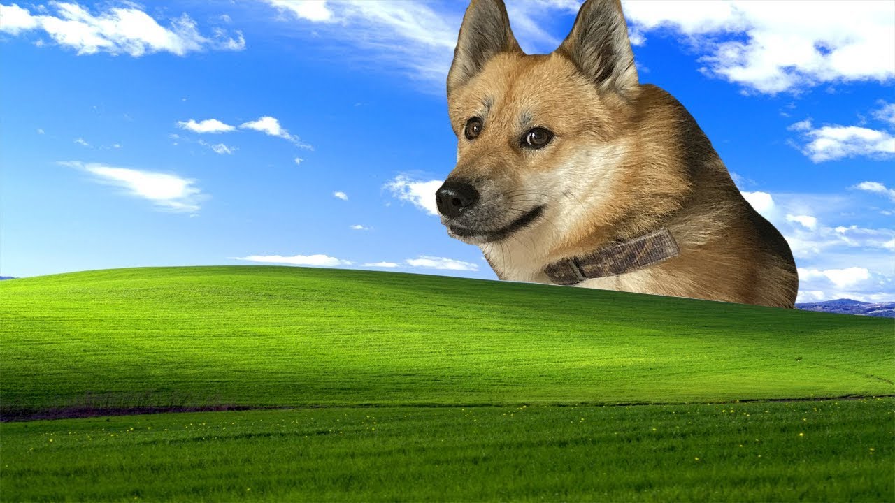 Doge 2 Meme Compilation