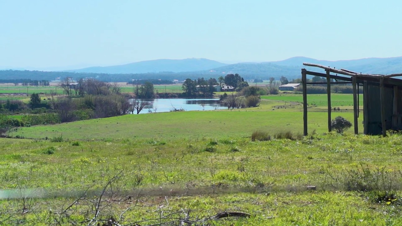 John Birrell - River Realty - Thornton - realcommercial.com.au