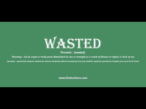 wasted: Pronounce wasted with Phonetic, Synonyms and Examples