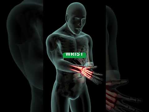 Silent Signs of Osteoporosis: Protect Your Bones