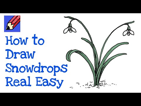 How to Draw Snowdrops Real Easy – Step by Step – Shoo Rayner