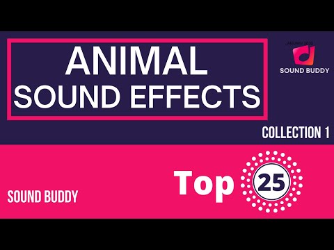 Animal Sound Effects | animal voices | wild animal sounds | animal sounds | sounds of animals | free