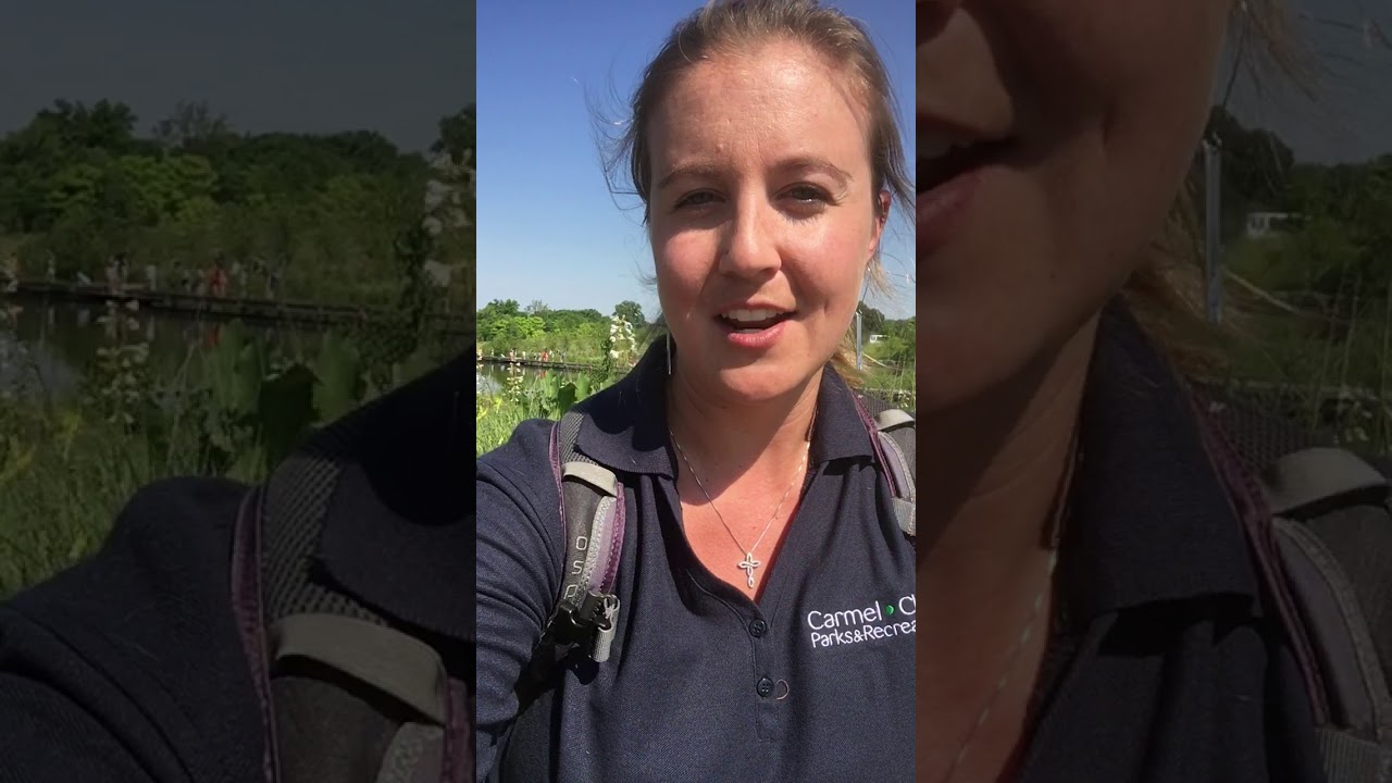 National Pollinator Week 2020