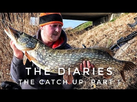 The Diaries - The Catch Up: Part 1