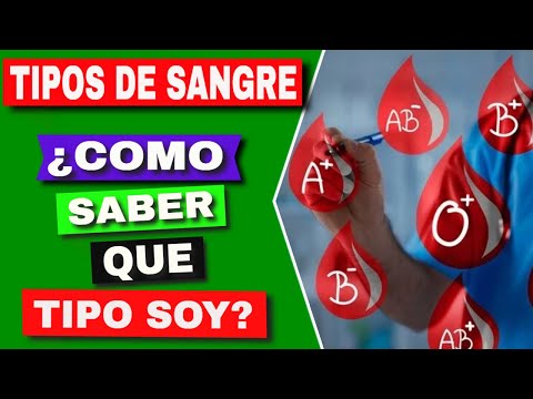 ???? ¿COMO SABER QUE TIPO DE SANGRE SOY? ❣️