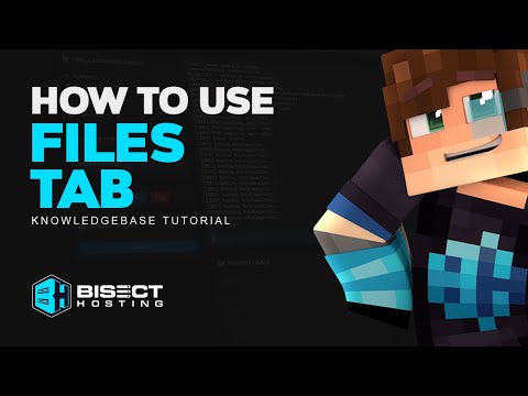 How to Use the Files Tab on a Minecraft Server!