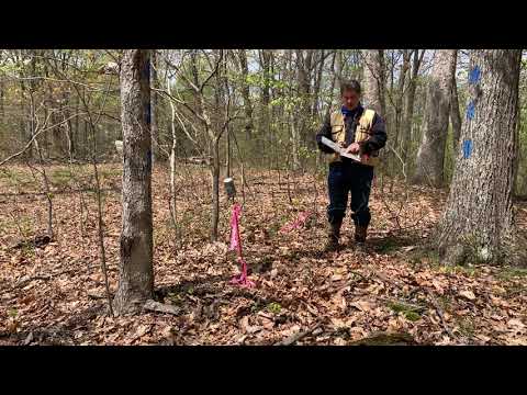 Woodland Boundaries: Locating and Marking Corners