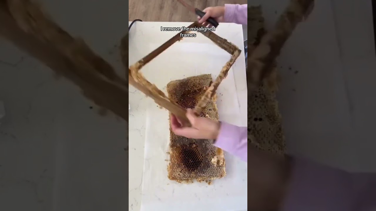 Foundationless Hive Technique: how to fix comb in a frame