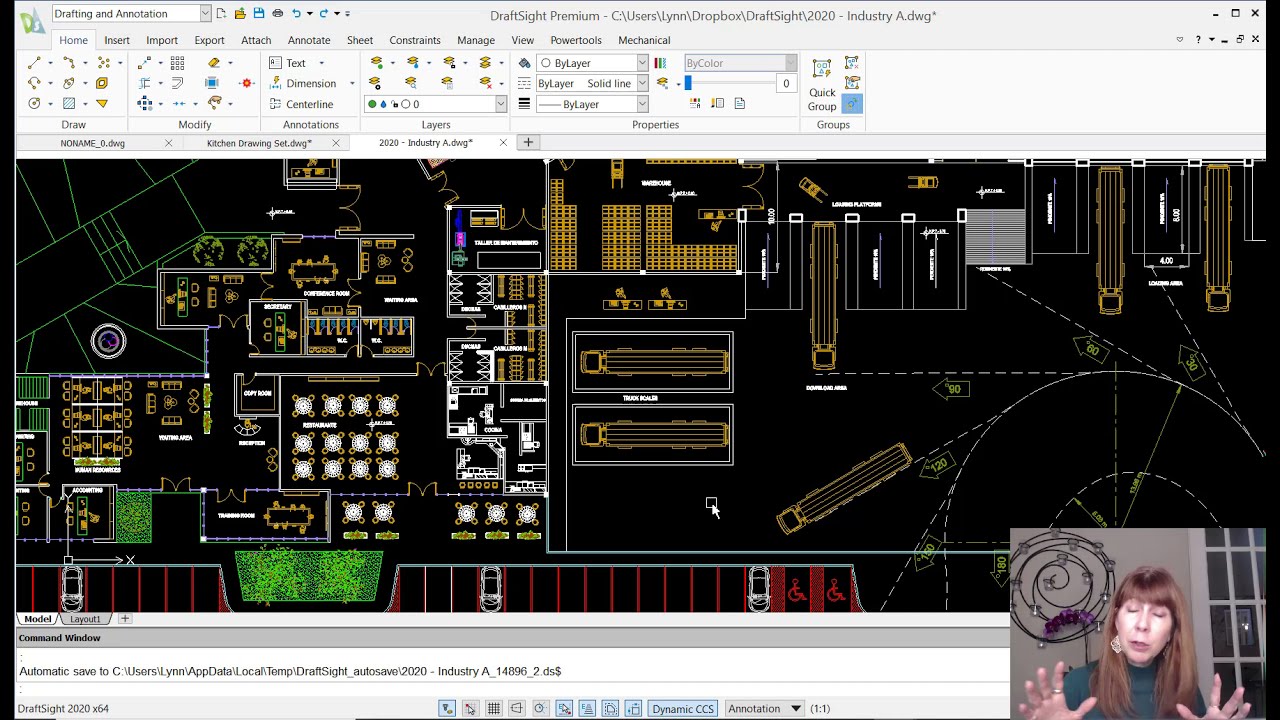 DraftSight Insights: Learn Layer Tools with Lynn Allen