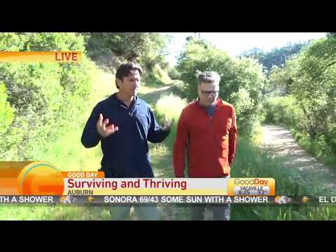 Walk and Talk Therapy Explained Part 1