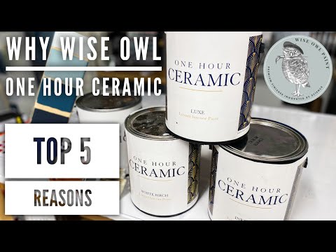 Why Wise Owl | One Hour Ceramic | Top 5 Reasons to Try & Use Wise Owl OHC Luxury Interior Paint
